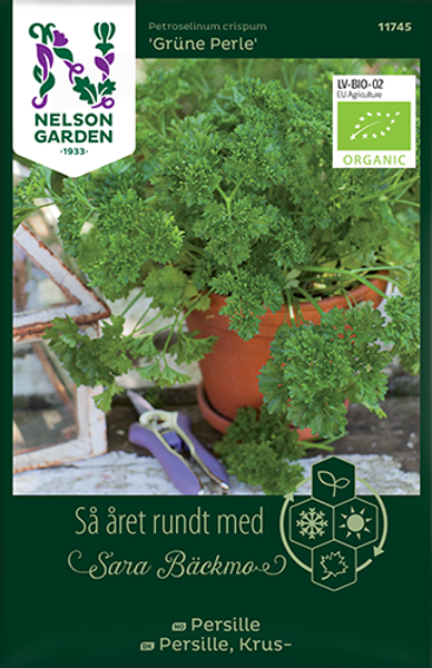 Blomkarse, lav 'Milkmaid' - Tropaeolum majus - Garden Living